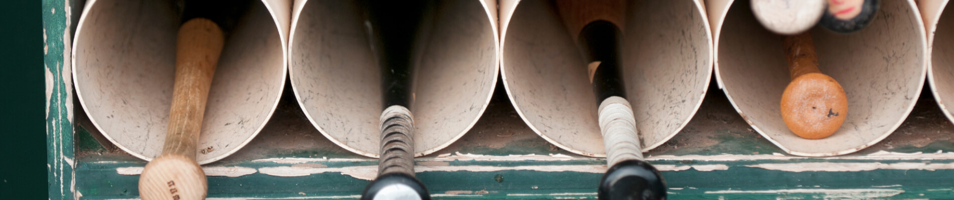 Meet Cubs superfan: Tyler Grote | Old Plank Trail Community Bank, N.A.